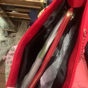 Love Moschino | Bags | Moschino Frog Bag Red | Poshmark